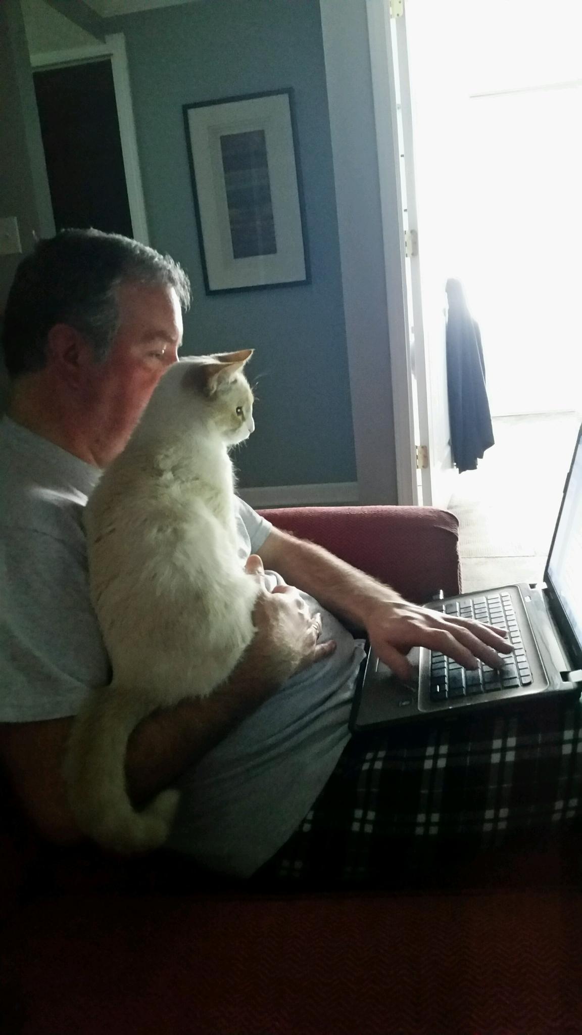 Indie Author Of The Month; Mick Williams | The Glorious Outsiders